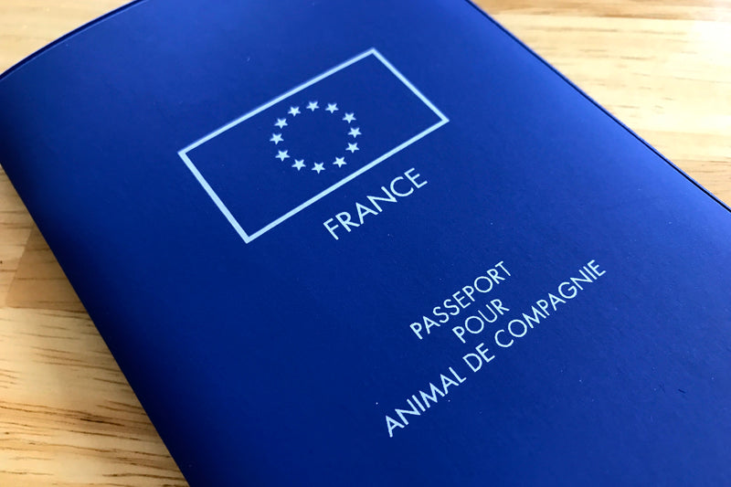 How and Why to Get Your Dog a European Union Pet Passport - DJANGO
