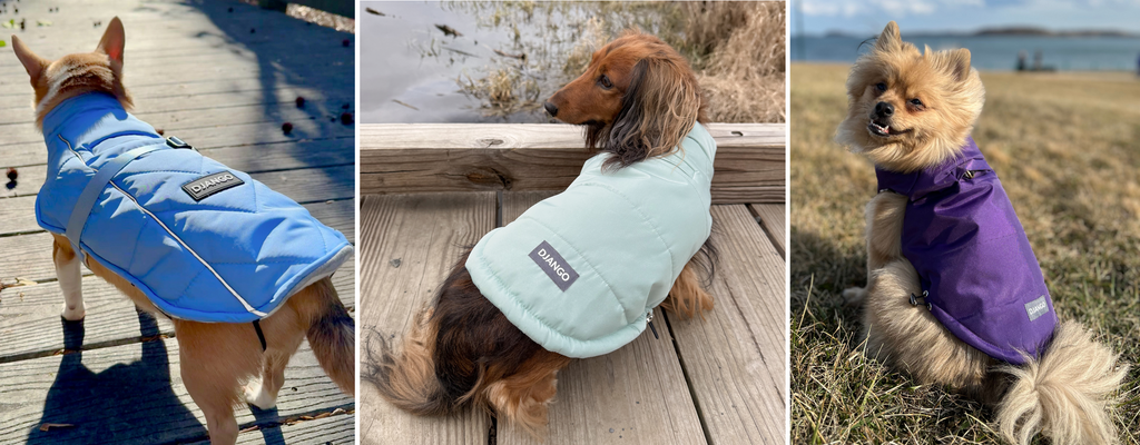 DJANGO Dog Apparel: Premium Dog Coats, Dog Hoodies, Dog Raincoats...