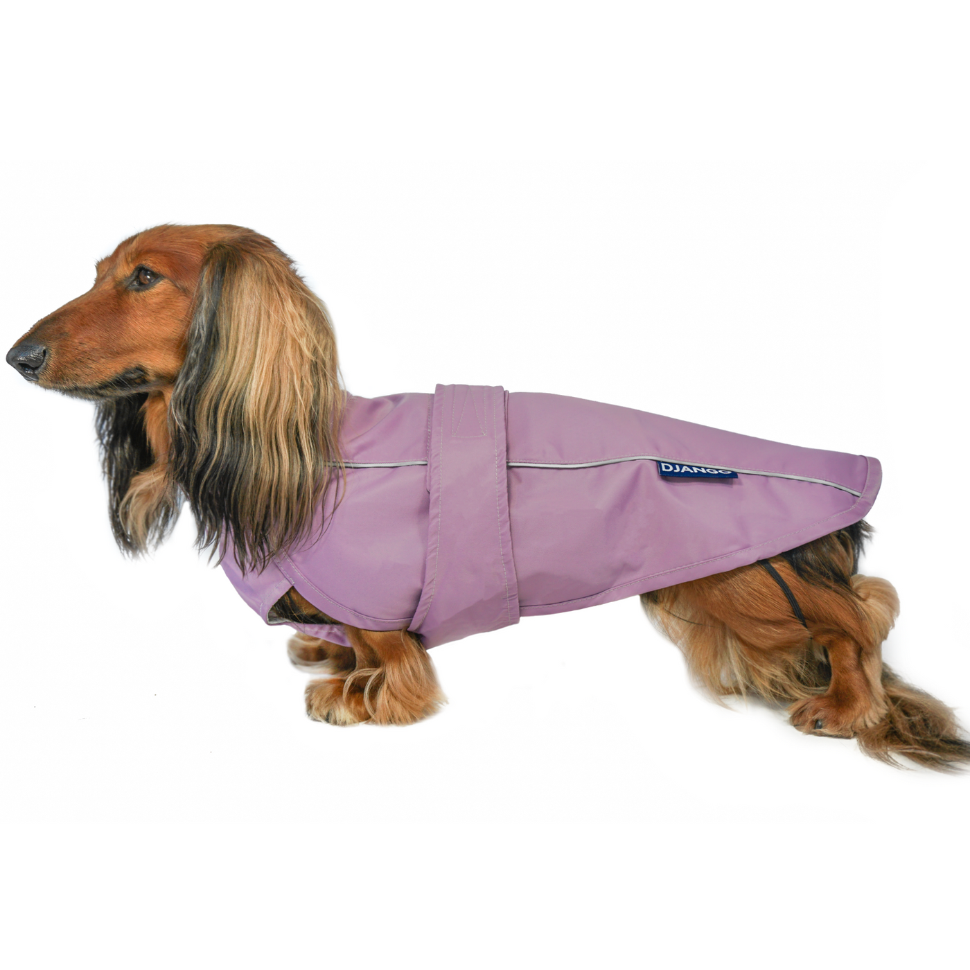 DJANGO City Slicker All-Weather Dog Jacket - djangobrand.com