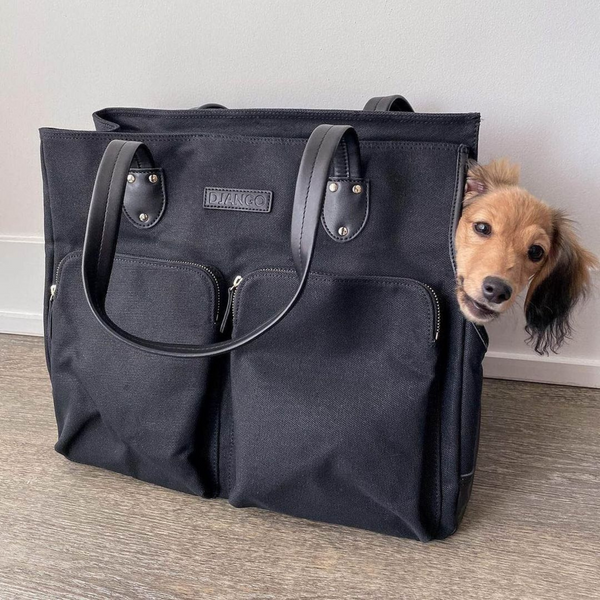 DJANGO: High quality, modern and stylish travel and adventure dog gear