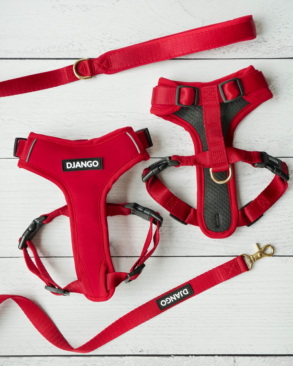 DJANGO Adventure Cat Harness Collection - djangobrand.com