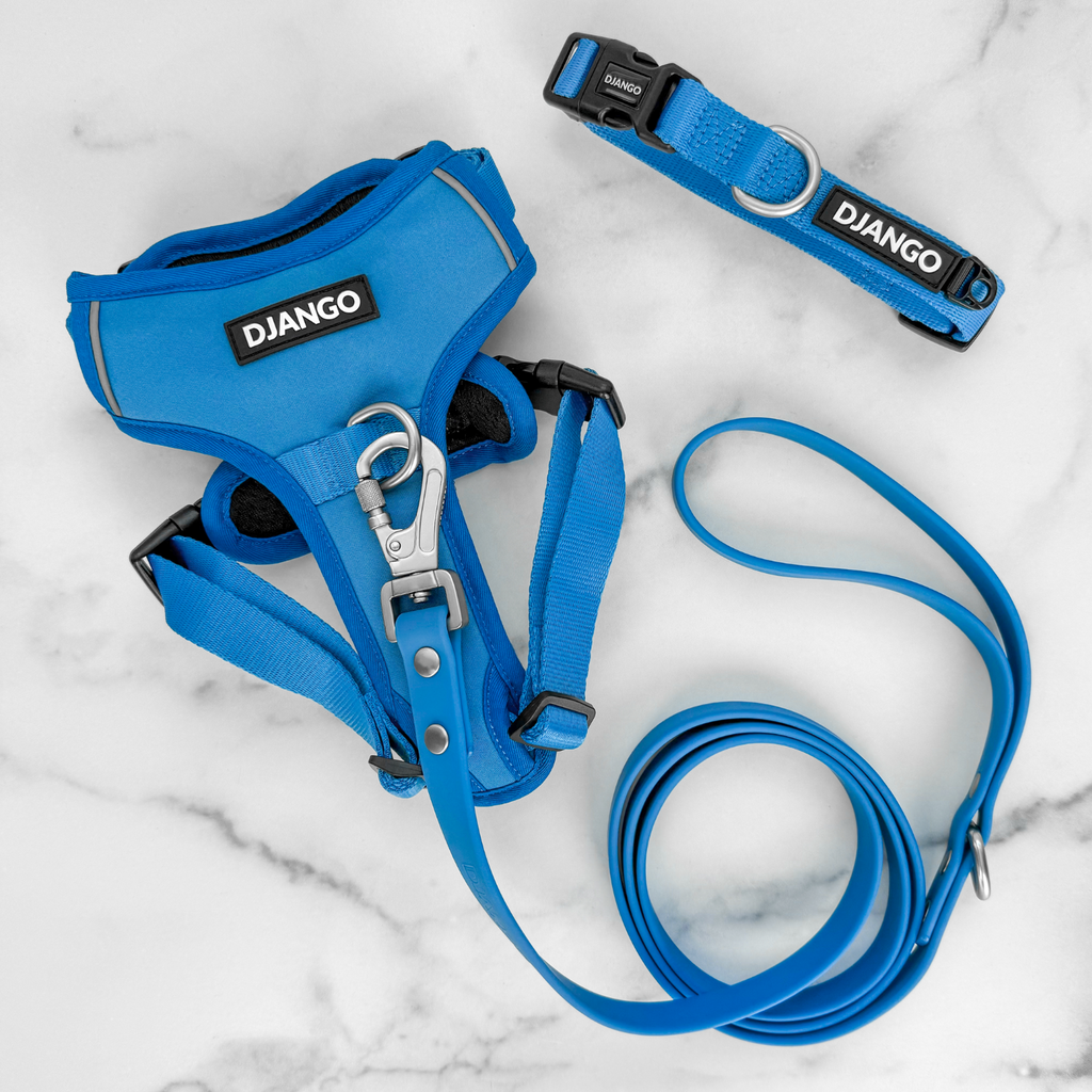 DJANGO Tahoe Bundle - Save when you bundle your Tahoe harness, collar ...