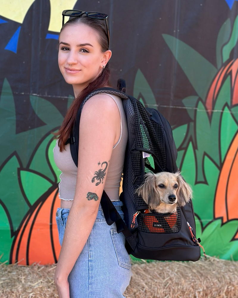 DjangoPack™ Dog Carrier Backpack - DJANGO