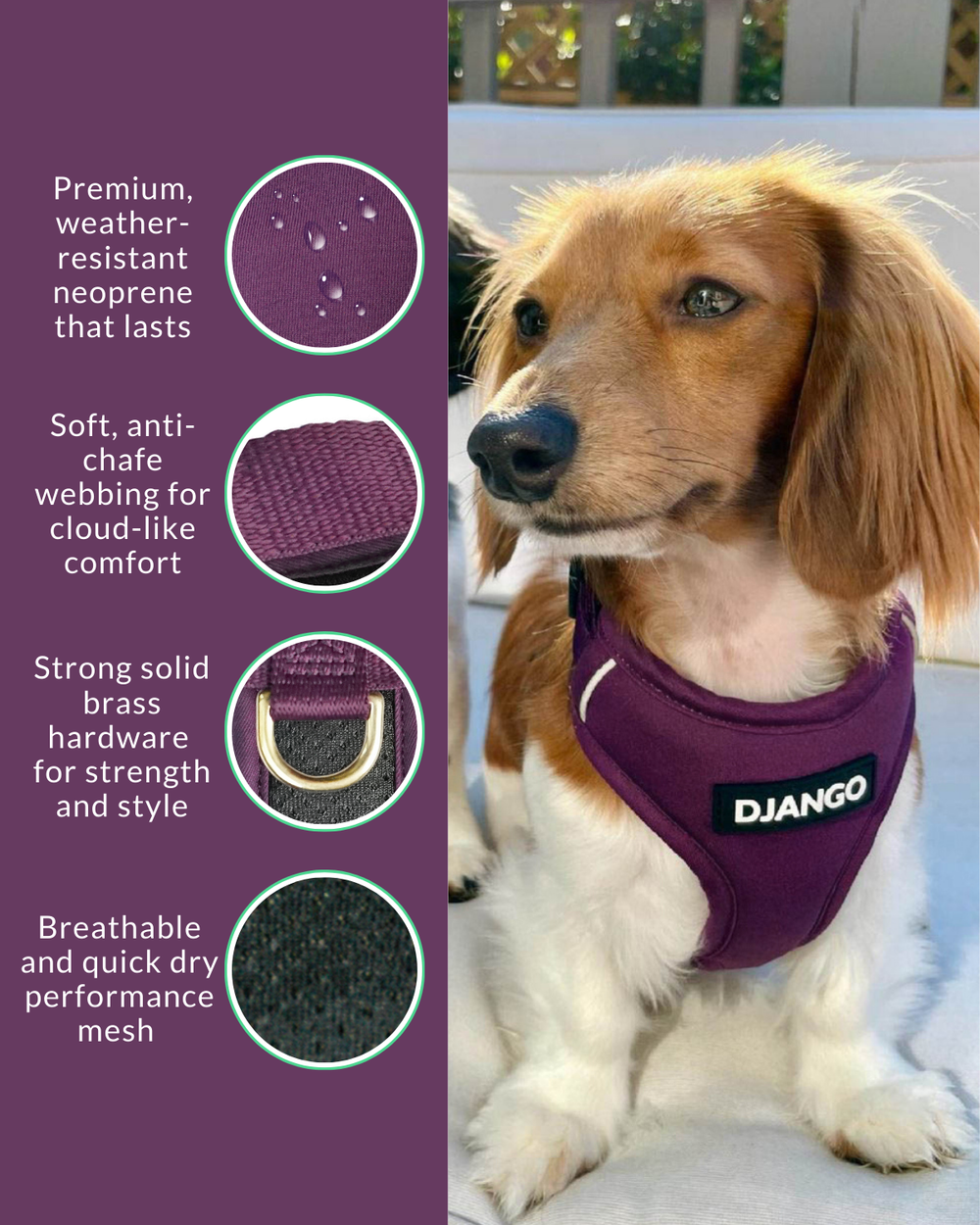 DJANGO Adventure Dog Harness in Plum Purple - djangobrand.com