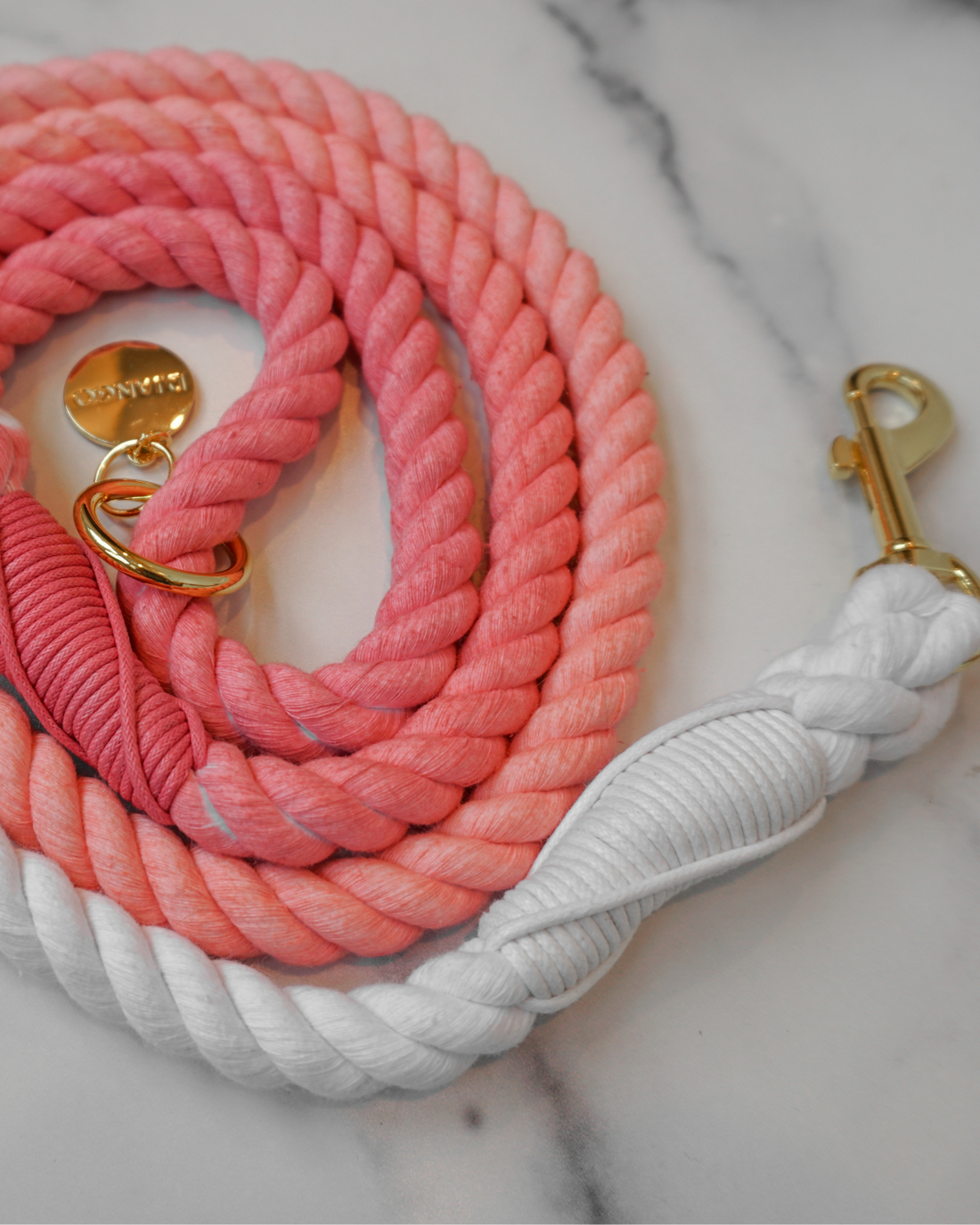 DJANGO Cotton Rope Dog Leashes | Solid and Ombre Cotton Rope Leashes ...