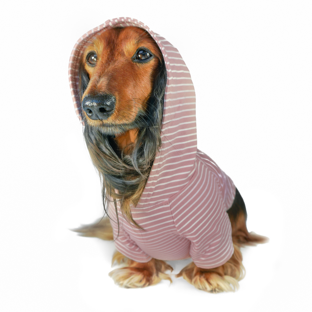 DJANGO Dog Hoodie - Blush Pink