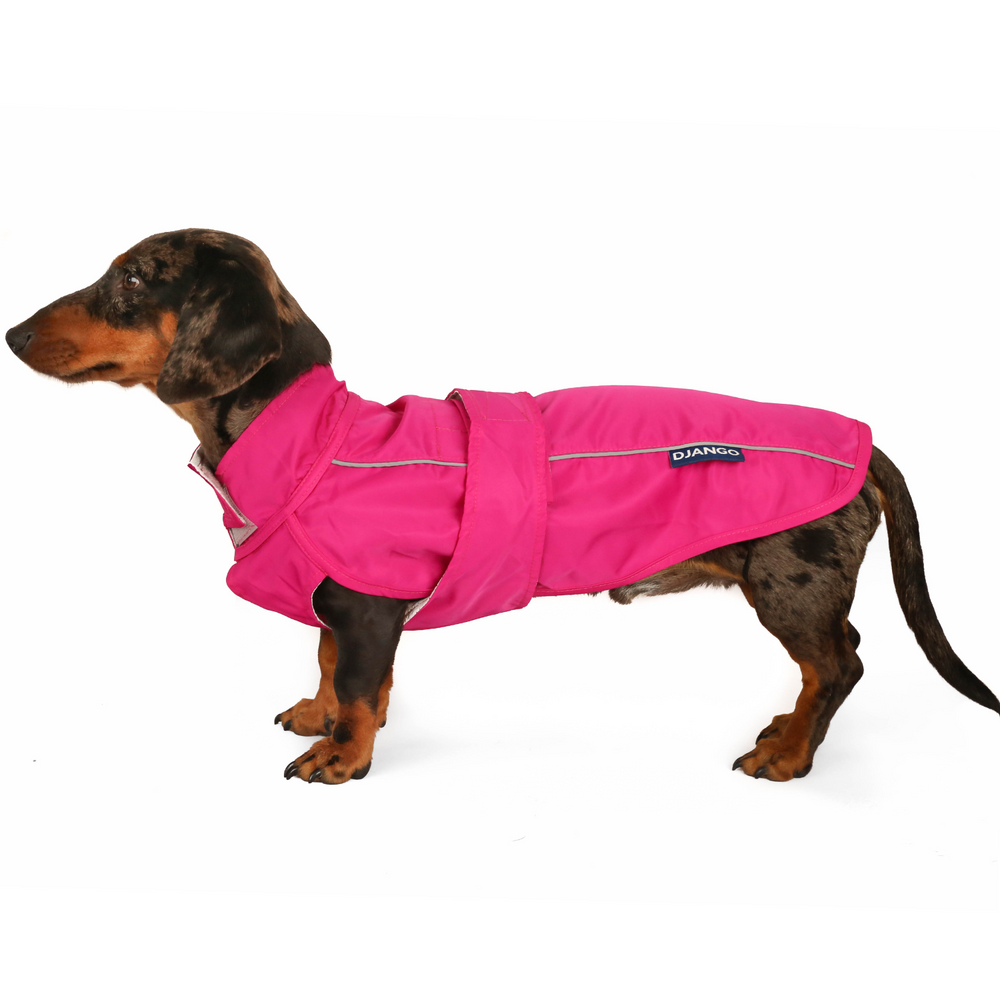 DJANGO Dog Coats - djangobrand.com