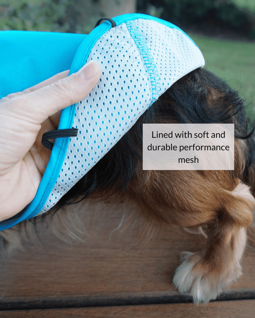 DJANGO City Slicker All-Weather Dog Coat & Rain Jacket - Topaz Blue