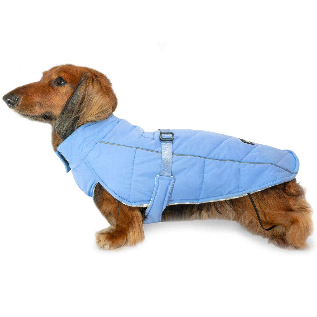 DJANGO Whistler Winter Dog Coat - Dusk Blue