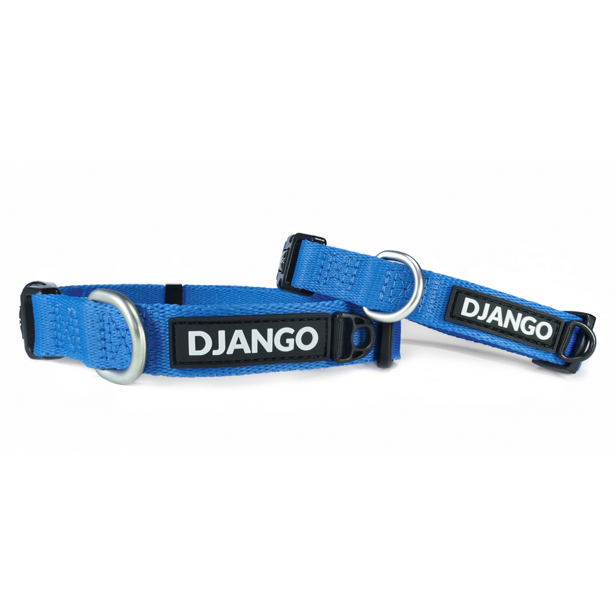 Dog Collars - DJANGO