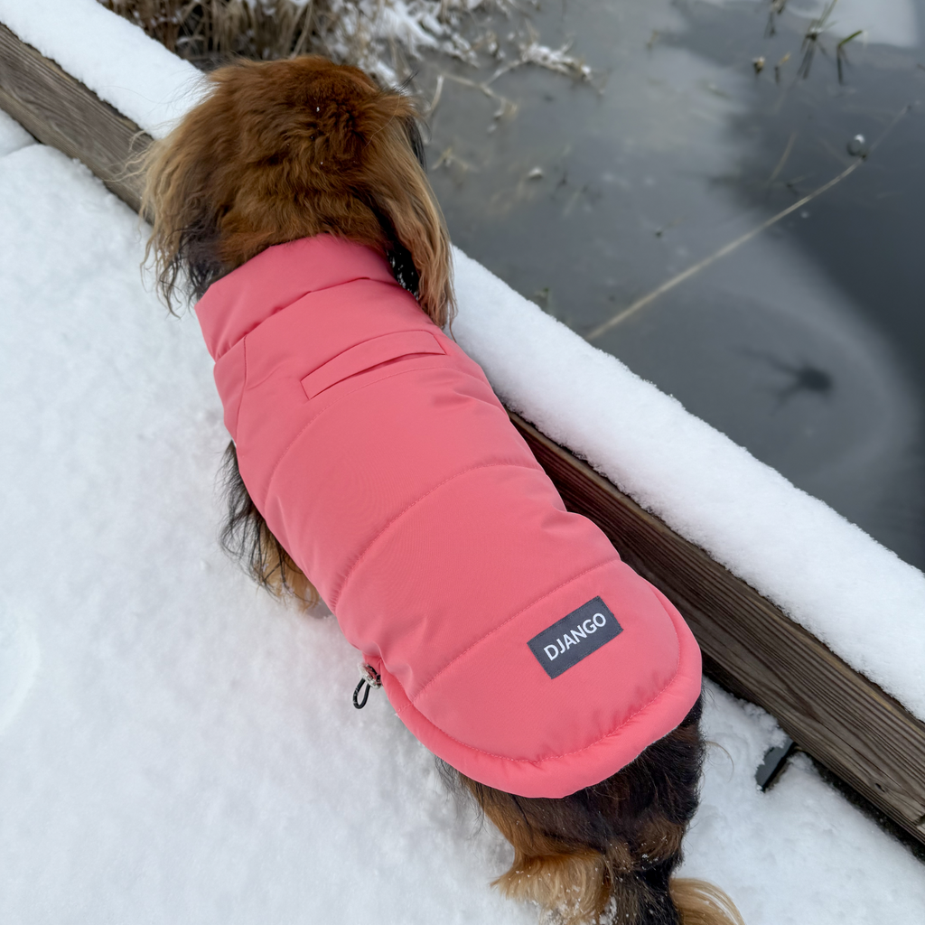 DJANGO Dog Coats - Snowline™ Puffer Dog Coat