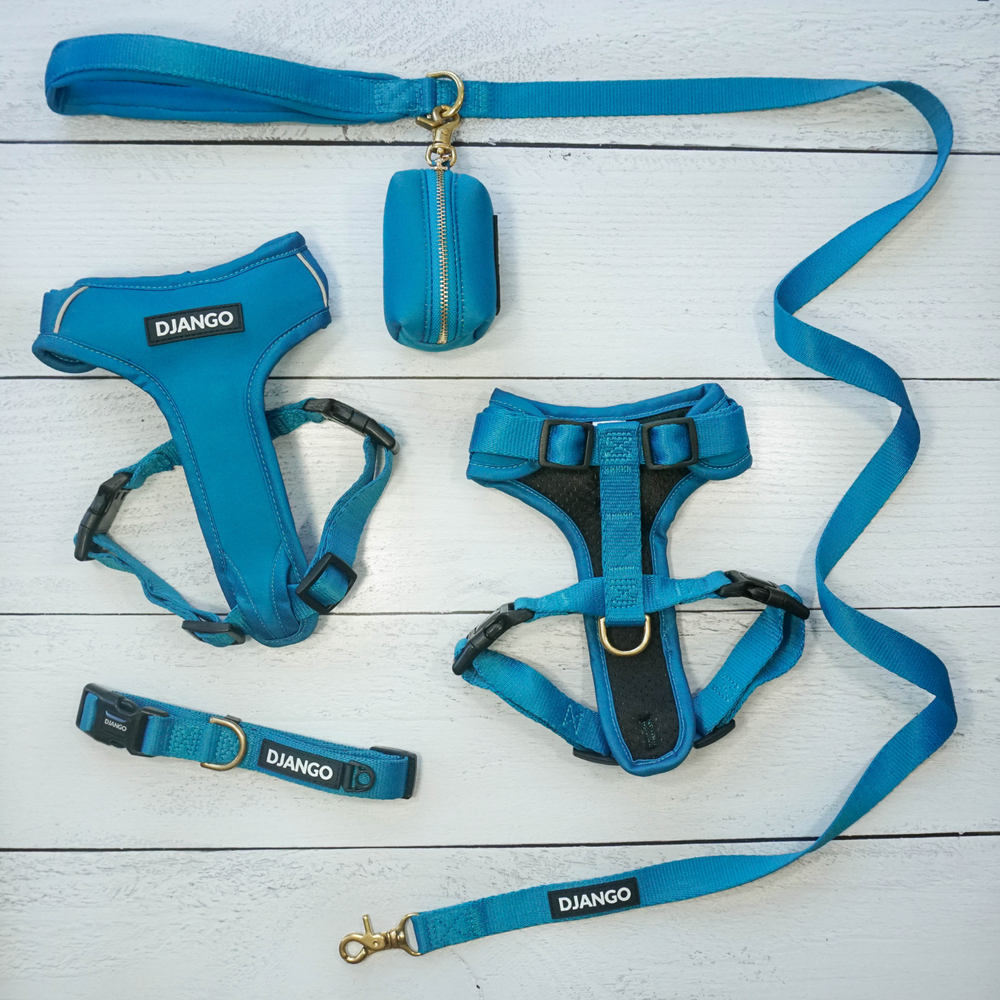 DJANGO Adventure Bundle - Adventure Dog Harness & Leash Set ...