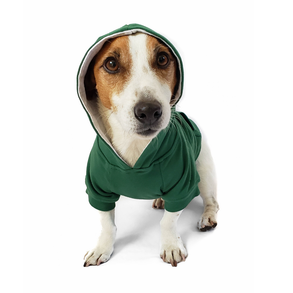 DJANGO Dog Hoodie - Forest Green