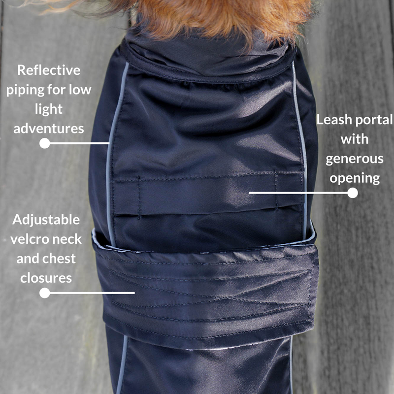 DJANGO City Slicker All-Weather Dog Jacket - djangobrand.com