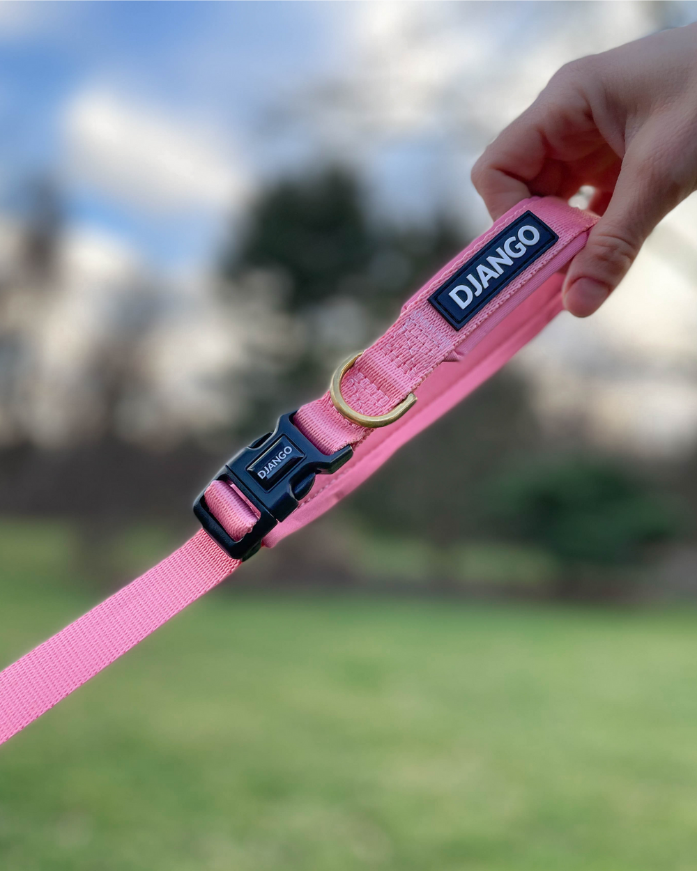 DJANGO Dog Leashes - djangobrand.com