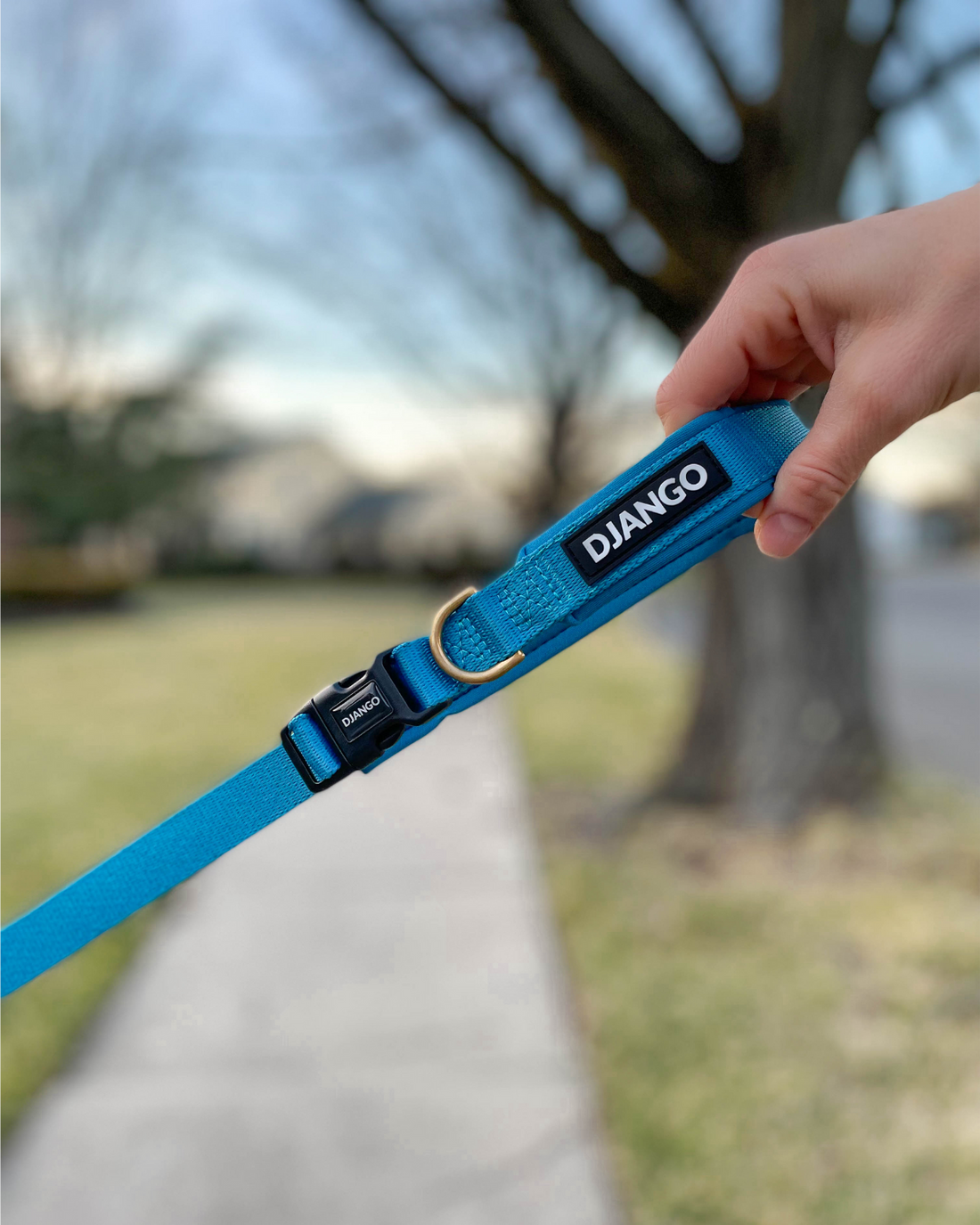 Shop DJANGO - Modern, durable, and stylish travel and adventure dog ...